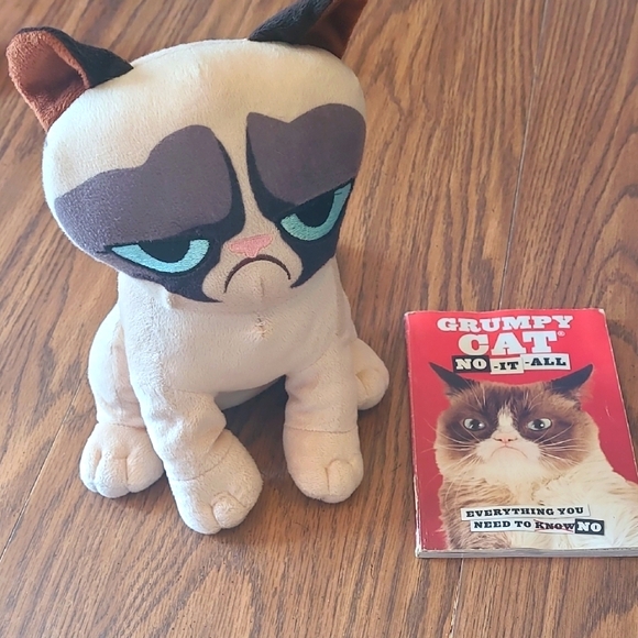 Toys | Grumpy Cat Plush Toy And Book | Poshmark
